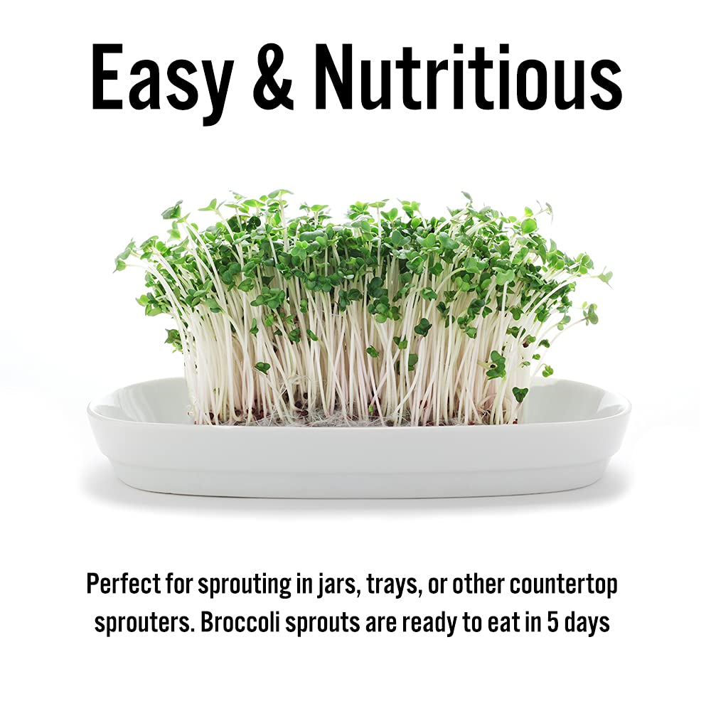 1 lb Broccoli Sprouting Seeds - Perfect for Sprouting & Microgreens, Rich in Sulforaphane, USA Grown (Resealable Bag)