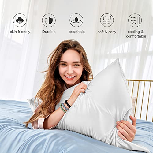 100% Mulberry Silk Pillowcase for Hair and Skin, Dafinner Standard Size Pillow Case 2 Pack with Hidden Zipper, 20x26, White