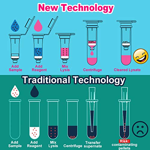 50Pcs 2mL Spin Column Micro centrifuge Tube Nucleic Acid Purification Column for Genomic DNA/RNA Purification, High Speed Plasmid Column & Collection Tube Kit by Biomed Scientific