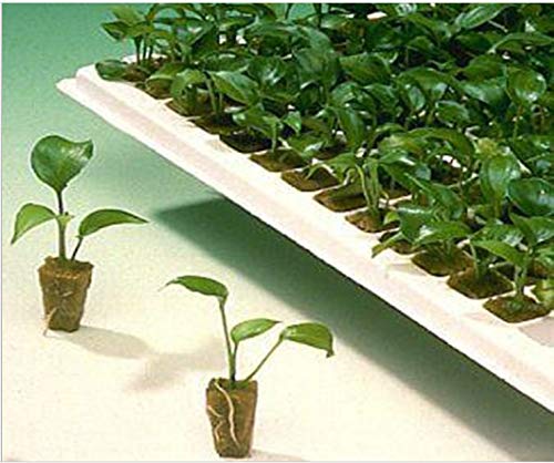 1.5 inch Rockwool/Stonewool Grow Cubes Starter Sheets for Cuttings, Cloning, Plant Propagation, Seed Starting Hydroponic Grow Media Growing Medium for Vigorous Plant Growth (28, 1.5)1