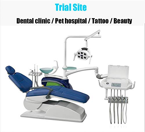 15W Induction Light Dental LED lamp AC/DC 12-24V Dental Oral Lamp for Dental Chair Unit, Pet Surgery Lamp(22mm Connector)