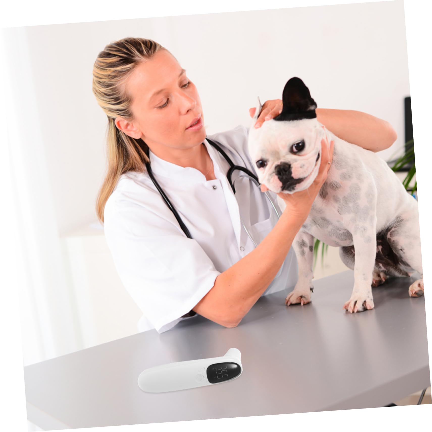 1 Set Pet Thermometer Small Animal Thermometer Cat Thermometer Pet Screen Thermometer Dog Thermometer Pig Thermometer Digital Thermometer Pet Ear Thermometer Dogs Cats Thermometer