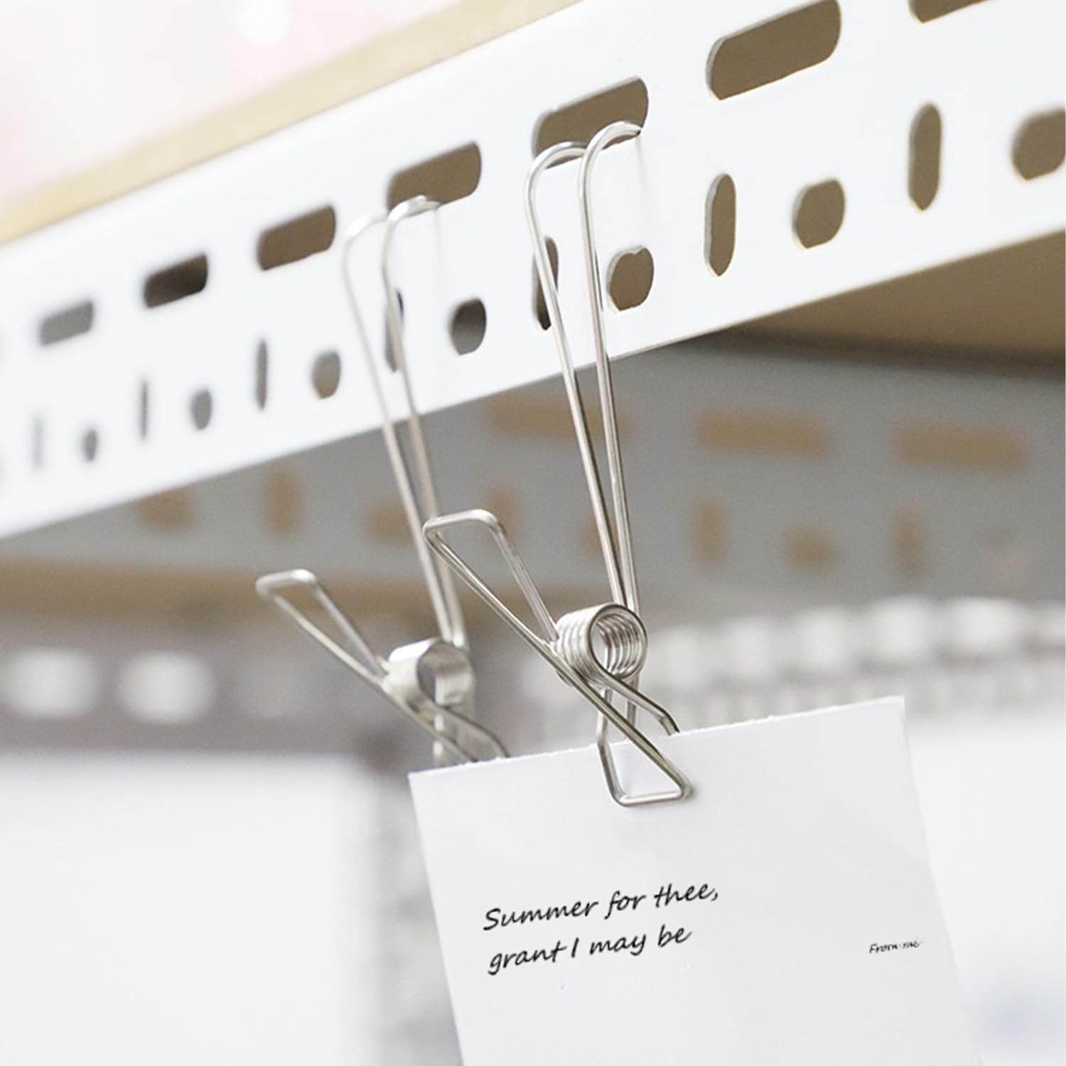 10 Pcs 304 Stainless Steel Clips All Metal Long Tail Clip Strong Grip for Holding Clothes Photos Snack Bag and Sundries in Bathroom Kitchen Office