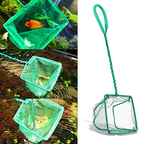 2 Pack Aquarium Fish Nets, DSSPORT 4 Inch Small Mesh Fish Catch Nets with Plastic Handle Green (Pine Green)