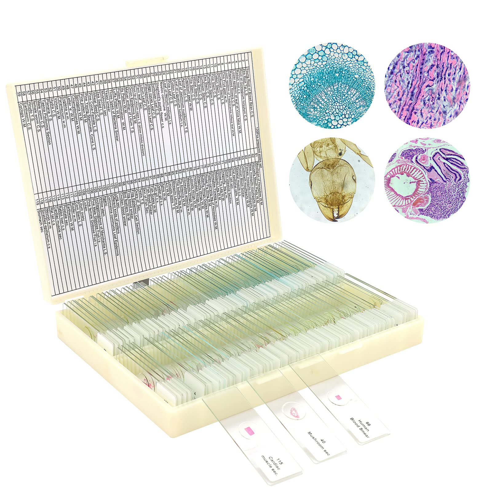 120+60 Microscope Slides with Specimens, Prepared Microscope Slides for Microbiology, Prepared Microscope Slides for Adults/Kids
