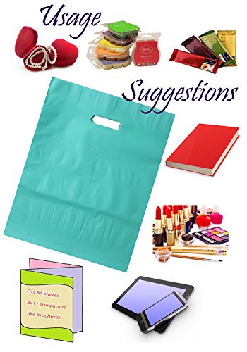 100pcs 12x15 2.5mil Extra Durable Merchandise bags Pick ur Color Die Cut Handle-Frosted finish-Anti-Stretch. For Retail, Party, Handouts and more by Best Choice (Aqua Blue)