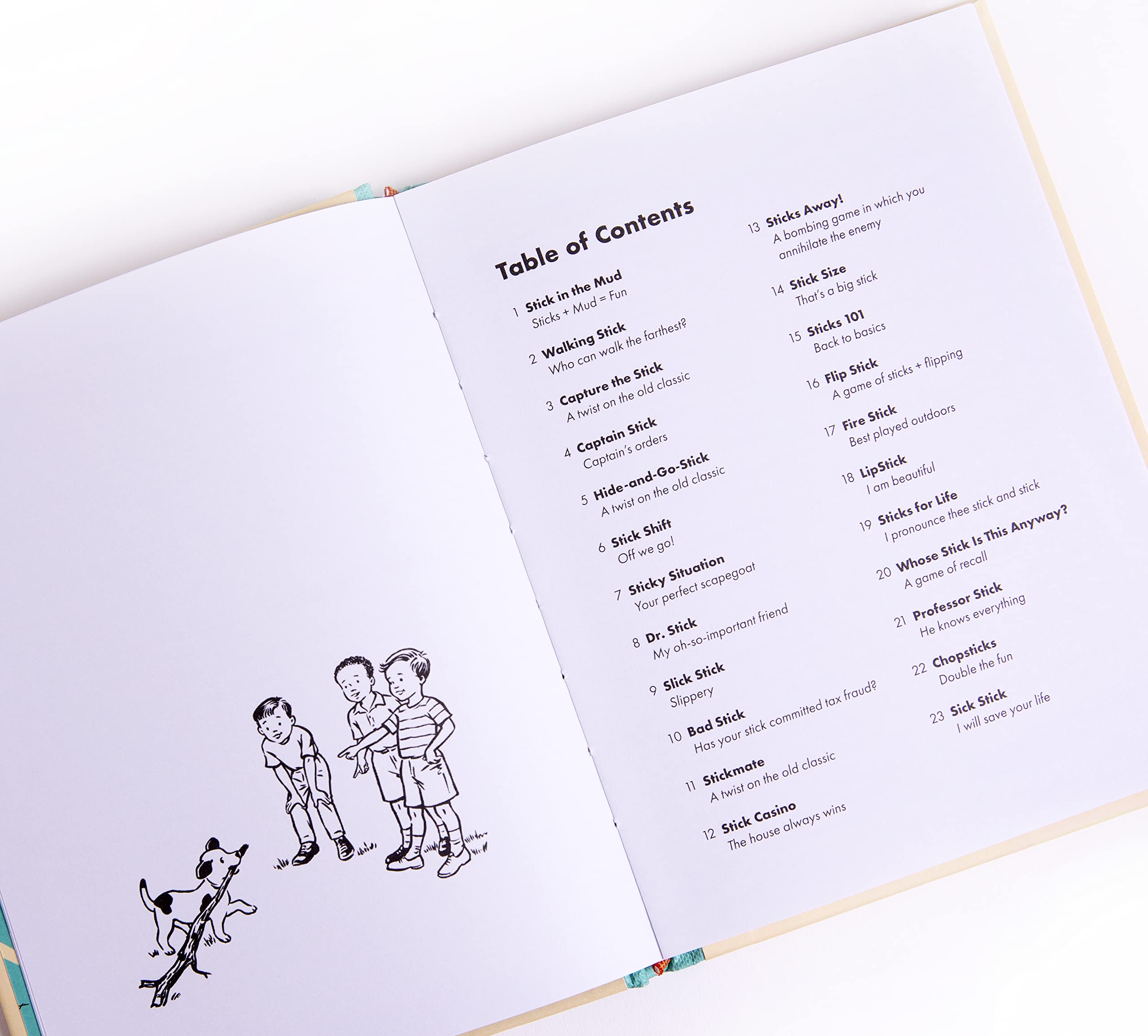 100 Games to Play with a Stick [A Hilarious Parody Book & Gag Gift]