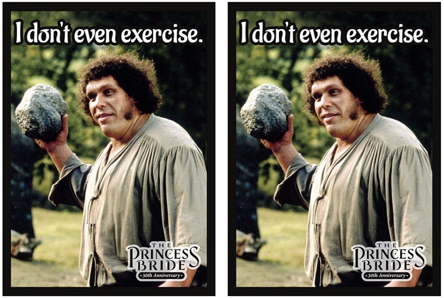 100 Legion Supplies Princess Bride I Don't Even Exercise Deck Protector Sleeves