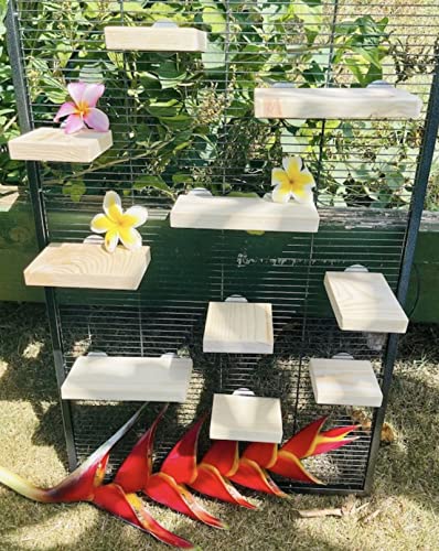 10 Piece Kiln Dried Pine Wood Ledges, Platfrom, Steps for Chinchillas, Rats, Birds and Caged Critters. Chinchilla Cage Accessories.