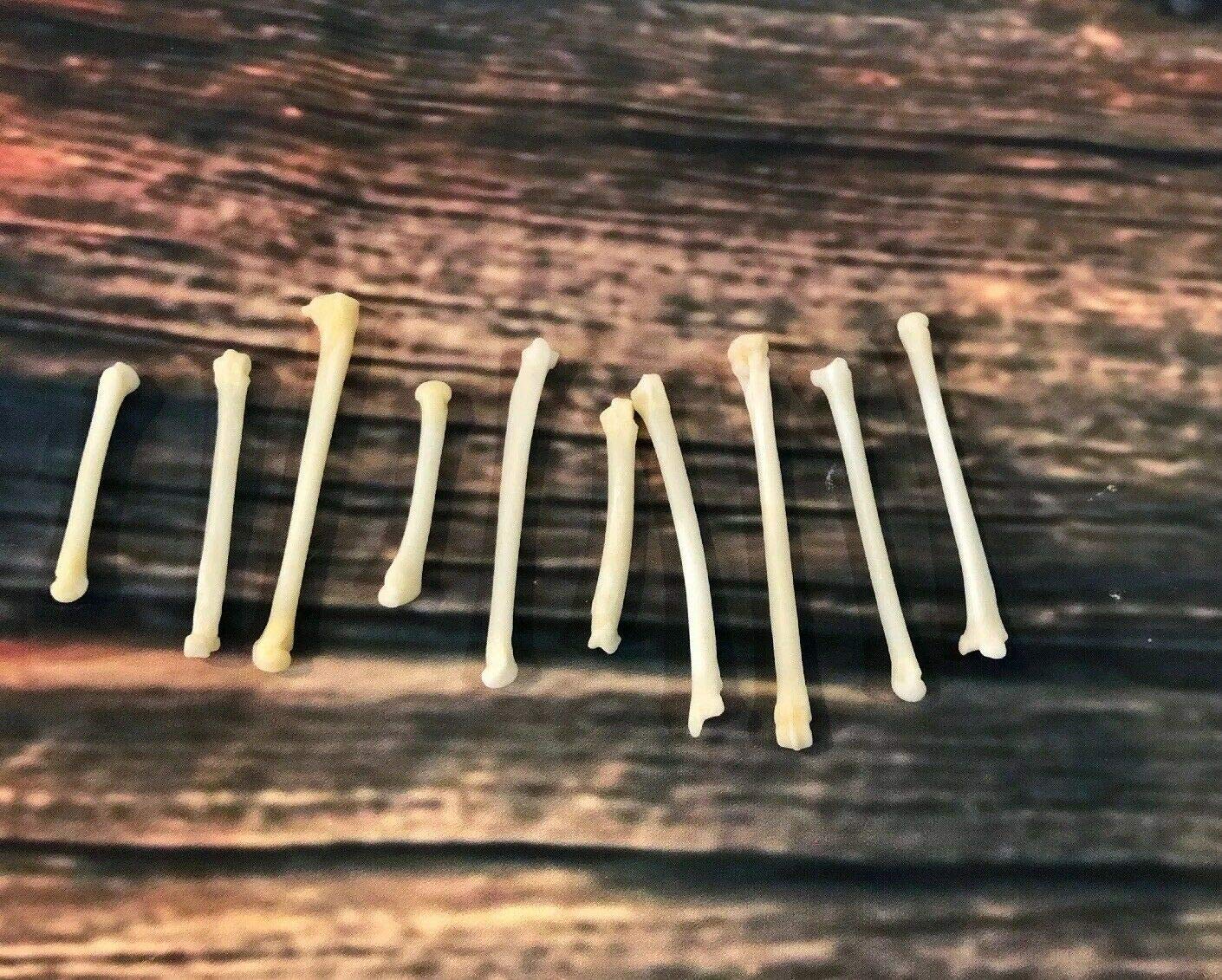 10 Real Red Fox Paw Bone Mountain Man Craft Supply Jewelry Earring Gothic Claws