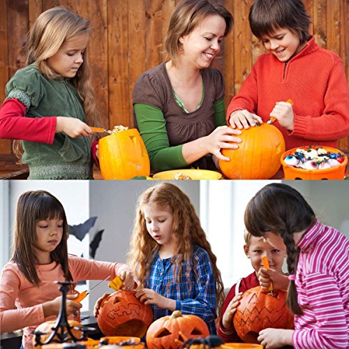 12 Pieces Professional Pumpkin Carving Kit Tool Heavy Duty Stainless Steel Tool Set with Storage Carrying Case Used As a Carving Knife for Pumpkin Halloween Decoration …
