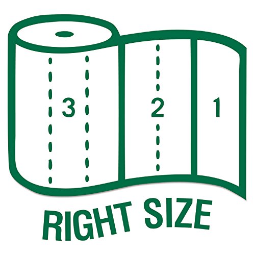 100% Recycled Paper Towel Rolls, 2-Ply, 11 X 5.4 Sheets, 140 Sheets/Rl, 6/Pk