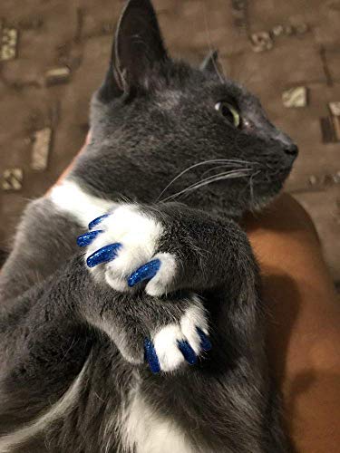 100pcs Cat Nail Caps/Tips YMCCOOL Pet Cat Kitty Soft Claws Covers Control Paws of 10 Multi-Colors Nails Caps and 5Pcs Adhesive Glue 5 Applicator with Instruction