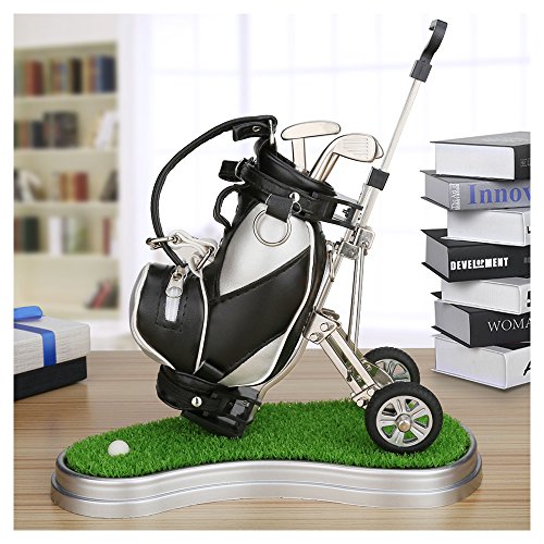 10L0L Golf Gifts, Golf Bag Pen Holder Golf Club Pens Gift Set Golf Race Souvenirs Unique Gifts for Men Dad Boss Golfer Fans Coworker - Silver + Black