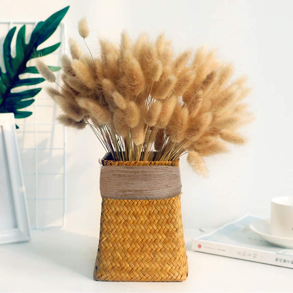 100 Pcs Natural Lagurus Ovatus Rabbit Tail Dried Flowers,17 inch/45 cm Dried Bunny Tails Grass Decor for Home Kitchen Garden Party Photographing Flower Arrangement Vase Decoration