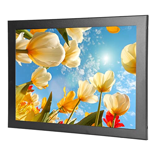12.3 inch Portable Monitor, 16:9 Computer Display 2160x1440 Full HD IPS Screen, HDMI/VGA Gaming Monitor for Computers, Microscopes, DVDs, Camcorders(2K)