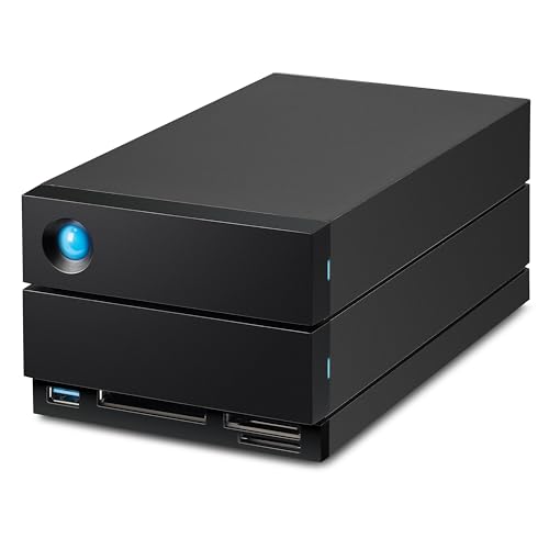 Seagate LaCie 2big Dock 20TB External HDD - Thunderbolt and USB4 Compatibility, Data Recovery (STLG20000400)