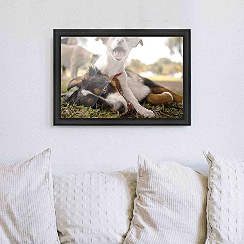 19x45 Frame Black Real Wood Picture Frame Width 1.25 Inches | Interior Frame Depth 0.5 Inches | Garrin Black Traditional Photo Frame Complete with UV Acrylic, Foam Board Backing & Hanging Hardware