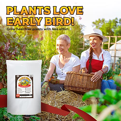 100% Pure Worm Castings Rich in Micro Nutrients - Odor Free Organic Plant Fertilizer for Indoor/Outdoor Use - Helps Reduce Soil Compaction, Improve Soil Aeration, Increase Water Retention, and More