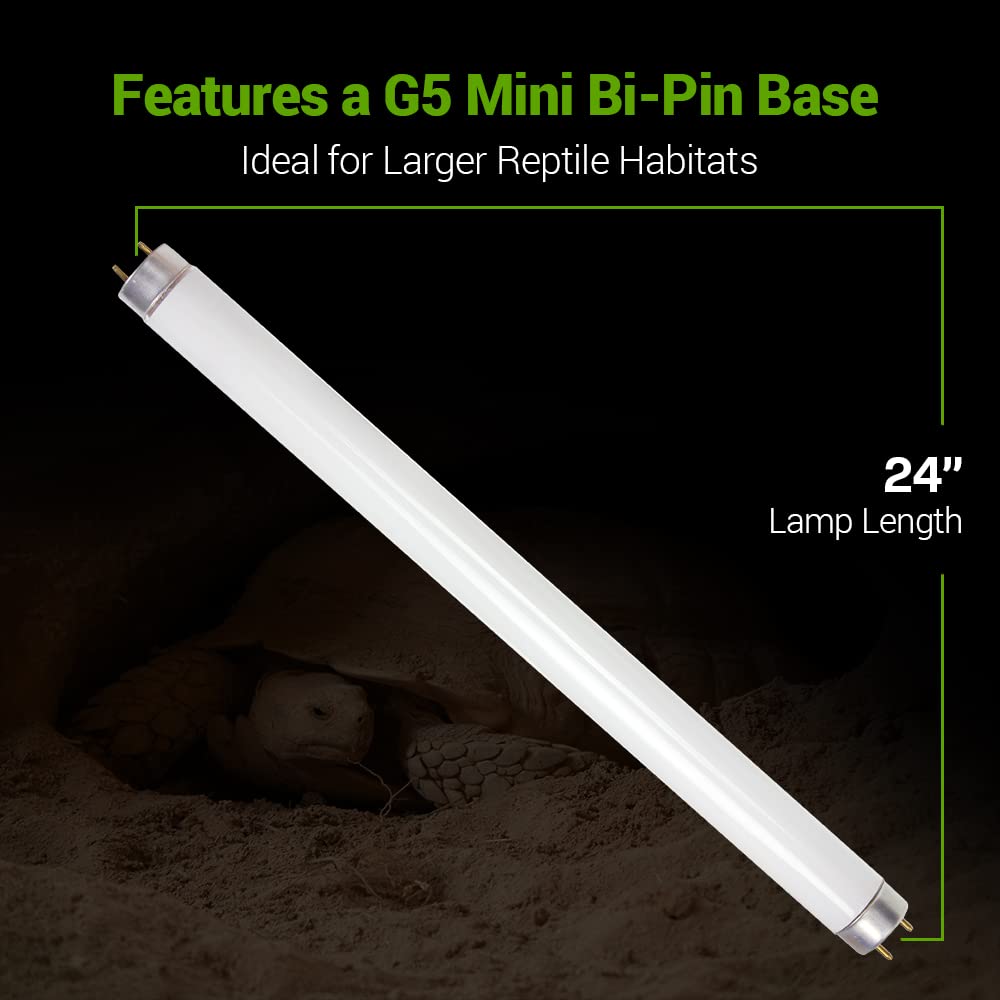 2 Pack 18W-Watt T8 Reptile Light Desert UVA UVB 10.0 Fluorescent Tube - 24" Terrarium Hood Light Suitable for Desert Reptile Lizards Bearded Dragons & More Promotes Natural Behavior UVB Bulb (24 Inch)