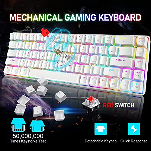 AJAZZ Gaming Keyboard and Mouse and Gaming Mouse pad and Wrist Rest,Wired RGB Backlight Bundle for PC Gamers and Xbox and PS4 Users - 4 in1 Gaming Set (Whisper Quiet Gaming Switch)
