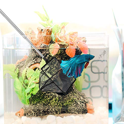 2 Pieces Mesh Fish Tank Net Aquarium Fish Net 4 Inch Stainless Steel Fish Net with Extendable 12.5-27.5 Inch Long Handle Fish Catch Nets Fish Tank Aquarium Accessories
