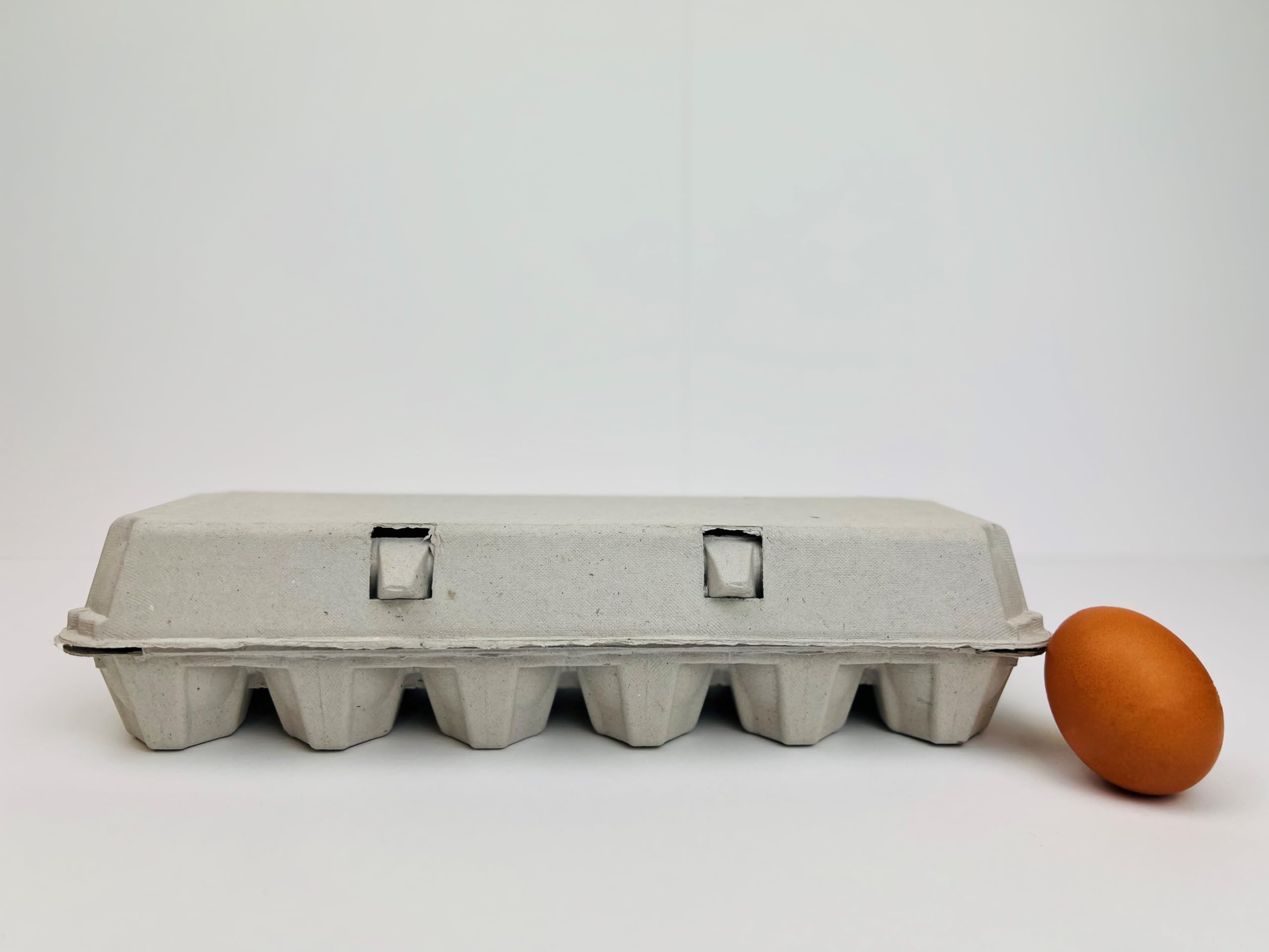 100 Solid top Non-Printed Dozen Egg Cartons