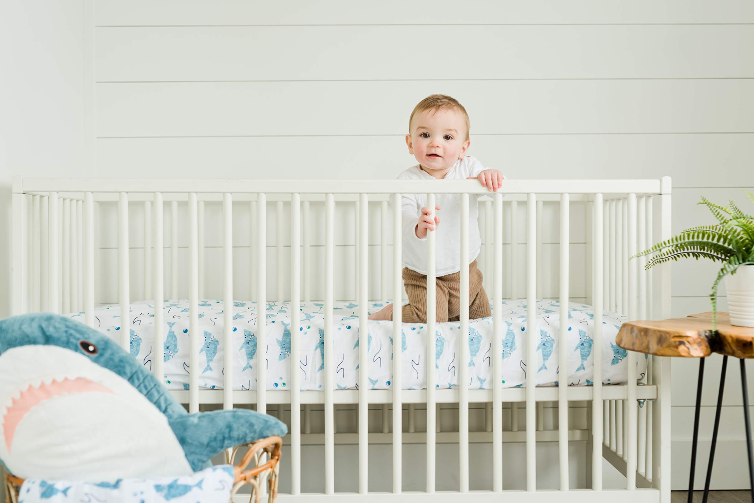 100% Cotton Fitted Crib Sheet - Premium Baby Bedding - Soft, Breathable & Durable - Shark Print