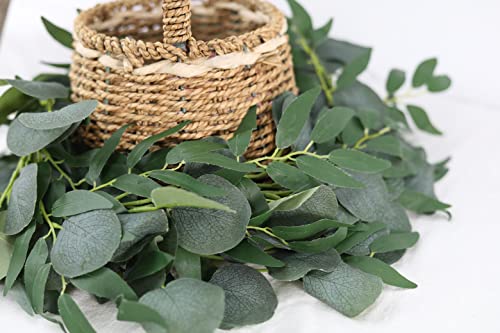 10 Pcs 6.2 Feet Artificial Silver Dollar Eucalyptus Leaves Garland with Willow Vines Twigs Leaves String for Doorways Greenery Garland Table Runner Garland Indoor Outdoor.…