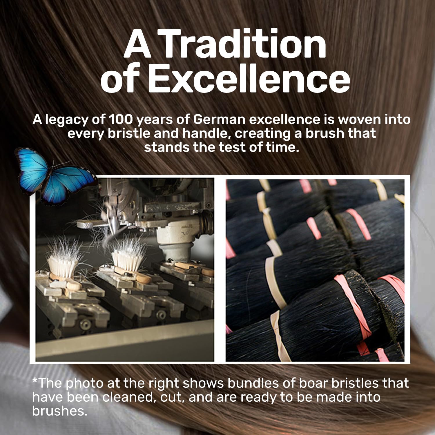 100% Pure Calcutta Boar Bristle Hairbrush for Natural Healthy Hair, Stiff Bristle, Made in Germany's Black Forest
