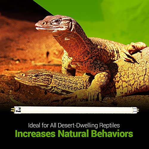 2 Pack 24W-Watt T5 HO Reptile Light Desert UVA UVB 10.0 Fluorescent Tube - 22" Terrarium Hood Light Suitable for Desert Reptile Lizards Bearded Dragons & Promotes Natural Behavior UVB Bulb (22Inch)