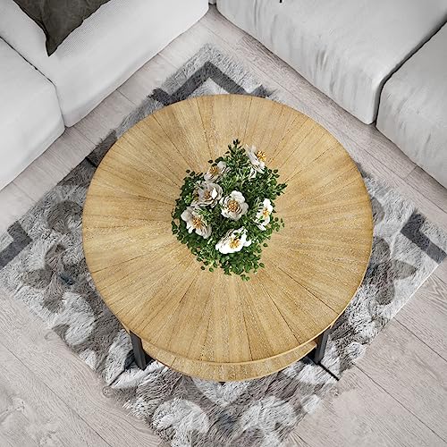 3imothrix Round Wood Coffee Table, Coffee Table with Storage Open Shelf, 31.49 inch 2 Tier Solid Wood Veneer Circle Coffee Table for Living Room (Coffee Table)
