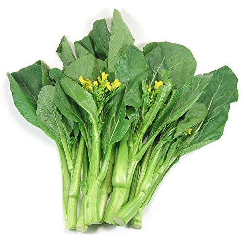 1000Pcs Choy Sum Yu Choy Chinese Flowering Cabbage Seeds