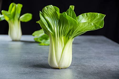 1000 Bok Choy Seeds - Shanghai Green Stem - Heirloom Non-GMO Vegetable Seeds for Planting - AKA Pak Choi, Pok Choi, Chinese Cabbage