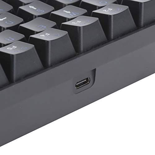 61 Key Wired Mechanical Keyboard, LED Backlit Gaming Keyboard with Blue Switch Back Light USB Universal Mechanical Gaming Keyboard for Computer