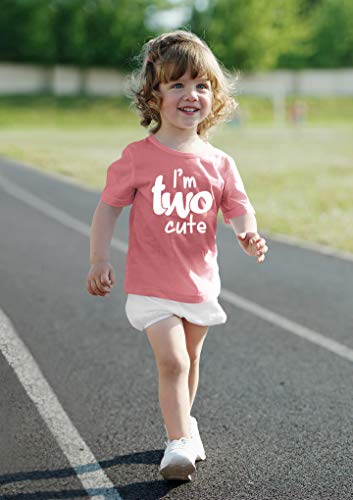 2nd Birthday Outfits for Toddler Girls im Two Cute Shirt Girl 2 Year olds Second (Mauve, 2 Years)