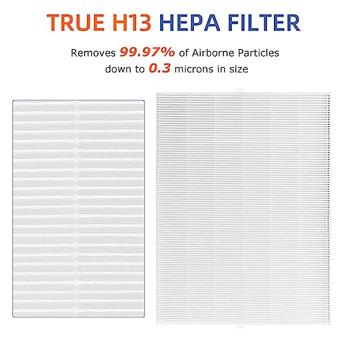 116130 Replacement Filter H for Winix 5500-2 Am80 Plasmawave Air Purifier True HEPA Carbon Filter, 2 Set