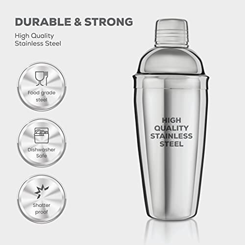 10-Piece Cocktail Shaker Set With Travel Bag - Stainless Steel Cocktail Shaker Set Bartender Kit - Mixology Bartender Kit - Strainer, Muddler, Jigger, Bar Spoon, Bottle Opener, Pour Spouts - Bar Set