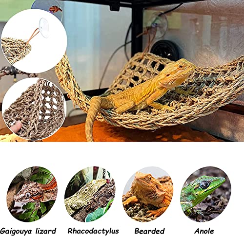 2 Pack Reptile Lizard Bearded Dragon Hammock,Reptile Lounger,100% Natural Grass Fibers Hammock Bed for Bearded Dragons, Geckos, Iguanas, Hermit Crabs (Triangular + Rectangle)