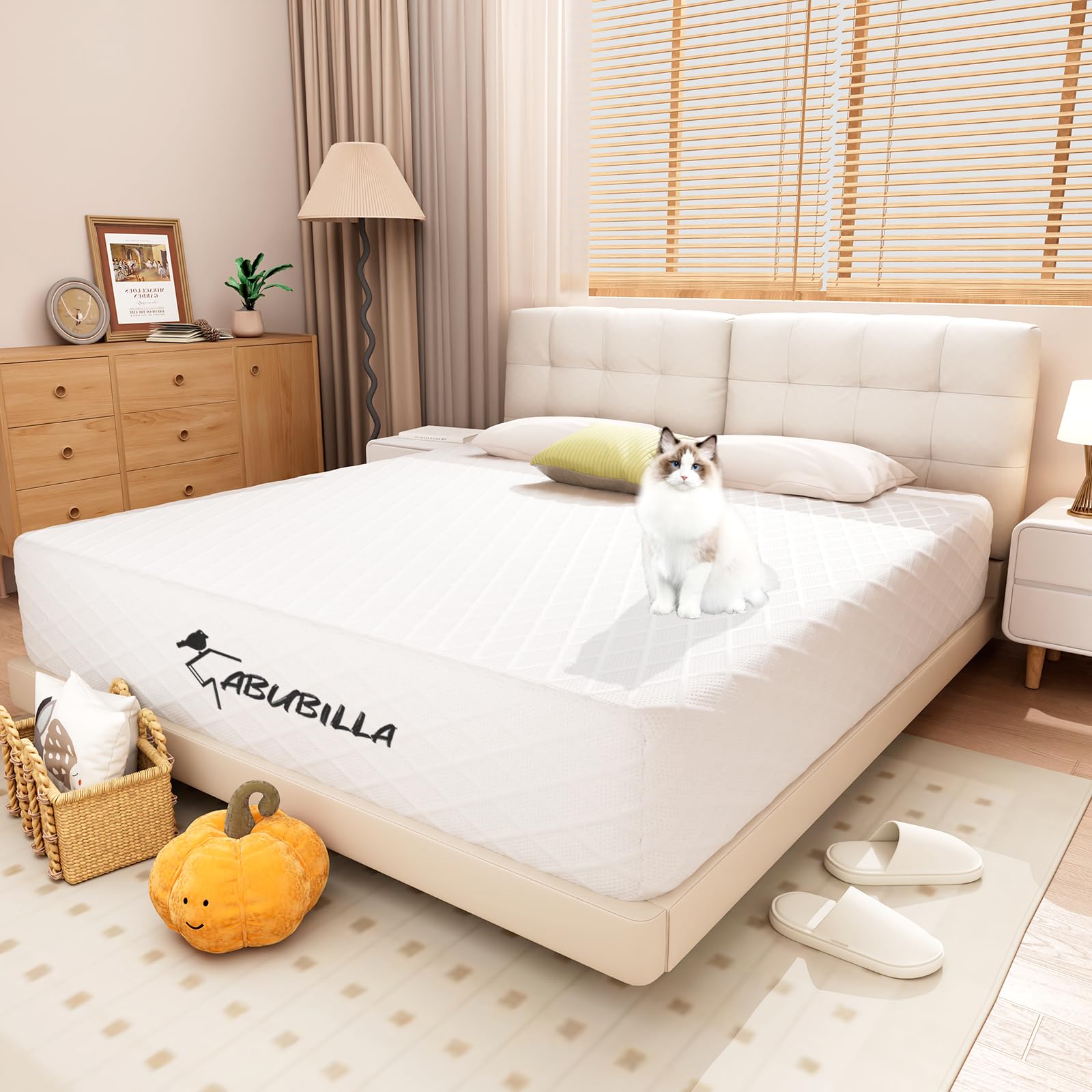10 Inch Queen Mattress,Queen Size Mattress,Guest Room Mattress, Memory Foam Mattress,Comfort Level of This Mattress is Extraordinary,Improved Sciaticaa,CertiPUR-US CertifiedăNew Versionă