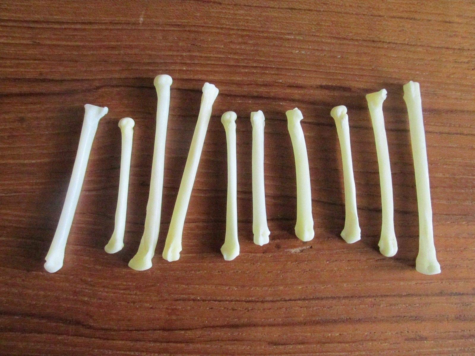 10 Real Red Fox Paw Bone Mountain Man Craft Supply Jewelry Earring Gothic Claws