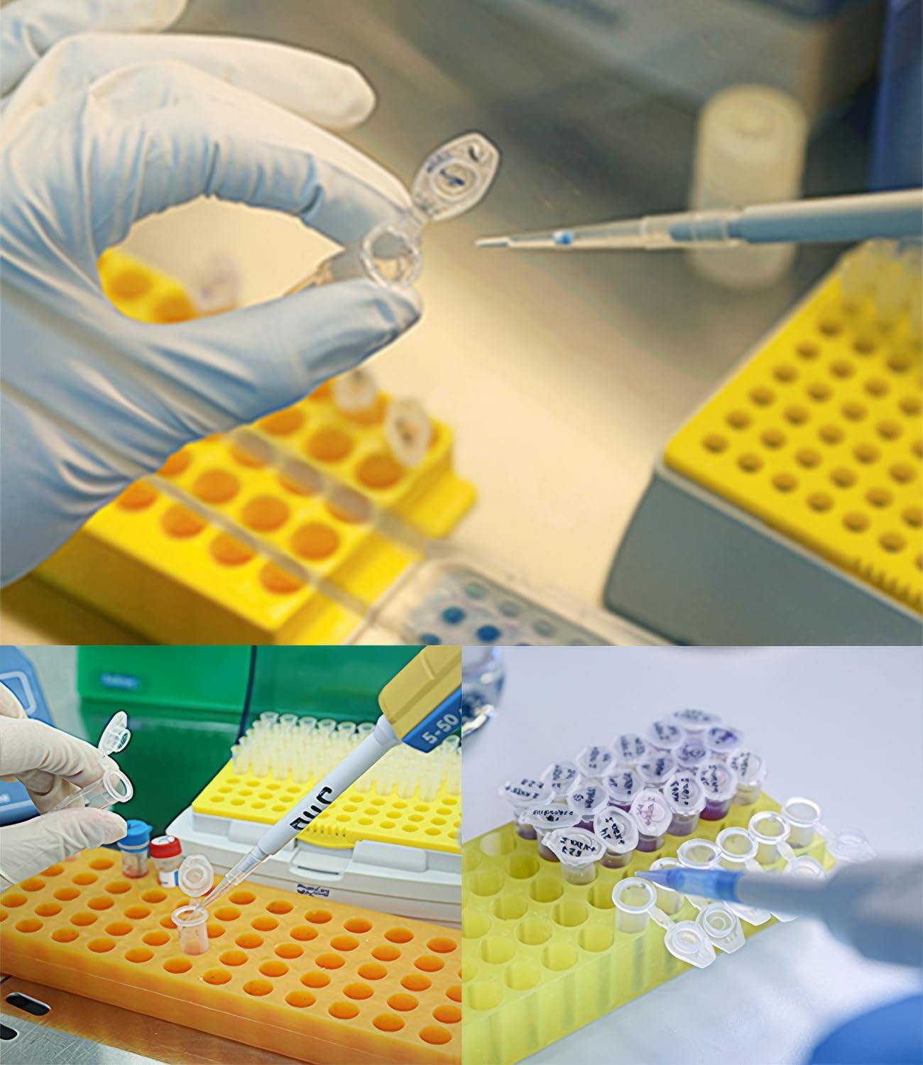 10ml Centrifuge Tubes Clear Plastic Vials EP Lab Centrifuge Vials 50pcs, Small Vial Liquid Test Sample Tube Storage Container with Snap Caps Lids