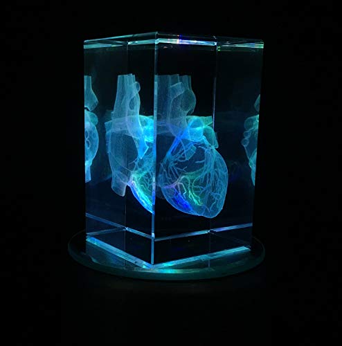 3D Human Heart Anatomical Model Paperweight(Laser Etched) in Crystal Glass Cube Science Gift (No Included LED Base)(3.1x2x2 inch)