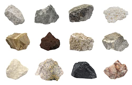 12 Piece Introduction to Sedimentary Rocks Kit - Includes 1" Specimens - Great for Geology Classrooms & Basic Field Testing Labs - Tech Cut Rocks by Eisco Labs