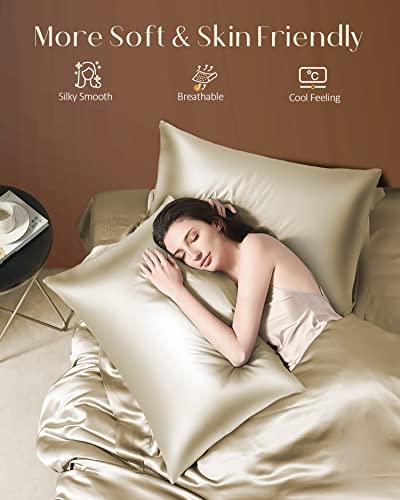 100% Mulberry Silk Pillowcase for Hair and Skin 22 Momme 6A Silk Pillow Case Zippered Soft Smooth Cooling -Standard Size 20"X 26"-with Eye Mask and Laundry Bag, Luxury Gift Set(Beige 1pc)