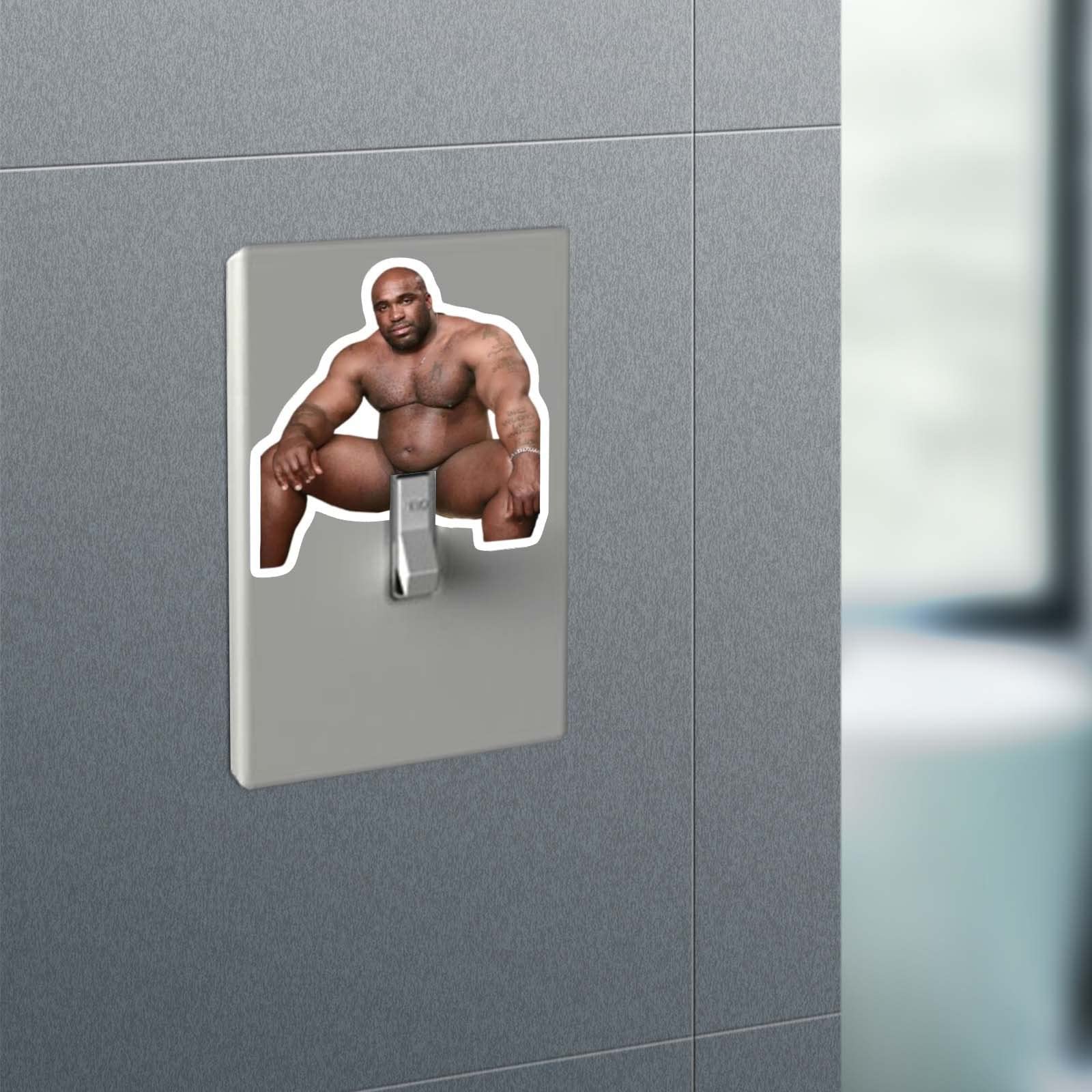 10pcs Funny Barry Wood Light Switch Sticker Decals, Waterproof Vinyl Prank Joking Wall Stickers for Living Room, Car, Laptop Skins, Skateboard, Computer, Tumblers, Phone, Bumper (10Pcs)