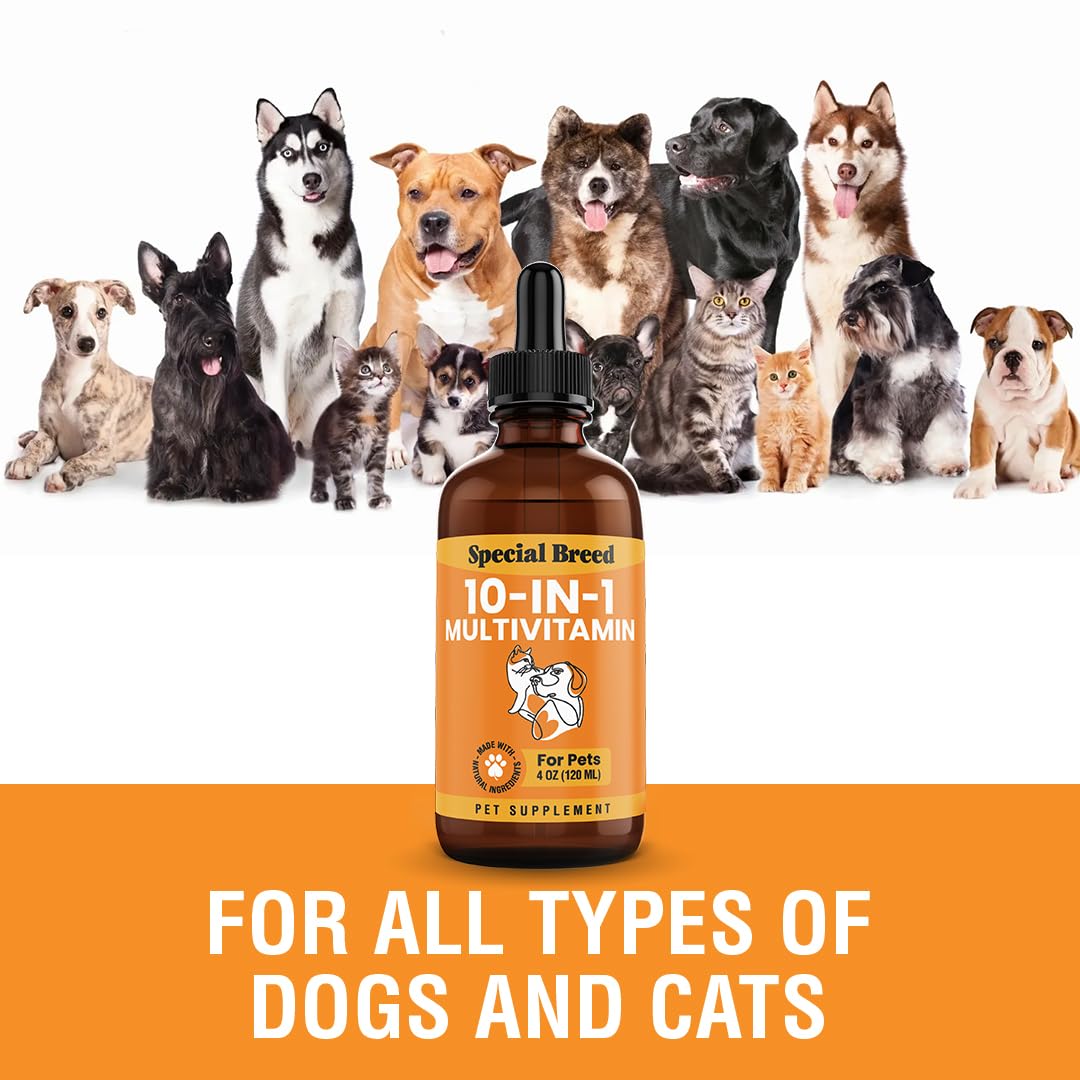10-in-1 Liquid Multivitamin for Dogs and Cats, 4 Ounce Multi Vitamin Supplement, Vitamin for Dogs, Vitamins for Cats, with Glucosamine & Cranberry, 4 oz