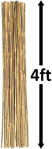Dlh Western Natural Bamboo Poles, Eco-Friendly Plant Support Garden Stakes 4ft Long, Diameter of 3/8" (25-Count)