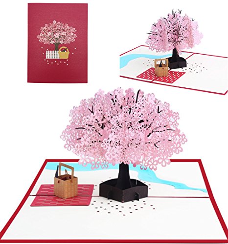 3D Pop Up Greeting Cards 4 Pack Assortment By Aloha Cards | For Birthdays, Thank Yous, All Occasions / Wow Your Loved Ones / Individually Packaged with Envelope and Protective Bag