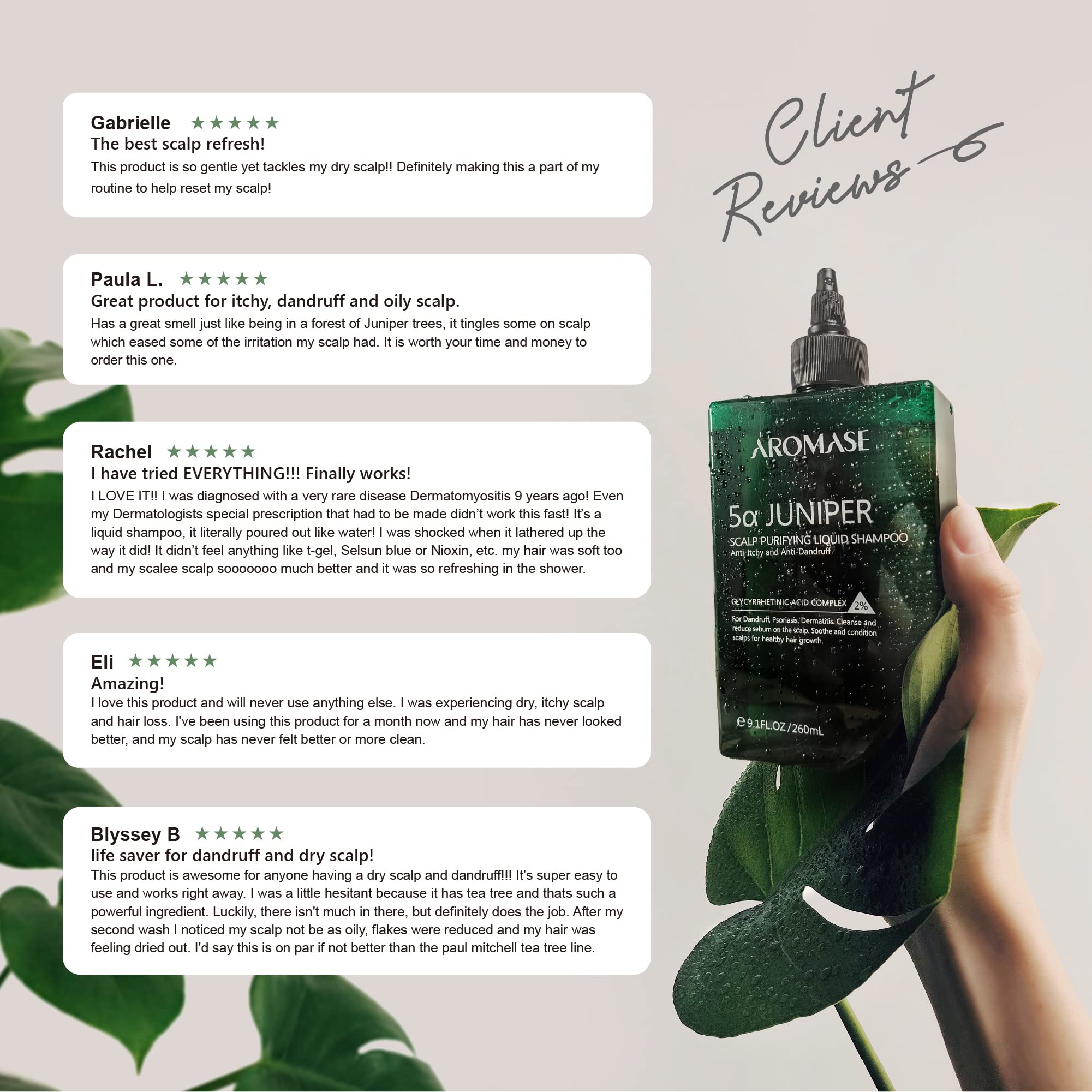 Aromase Oily Dandruff Solution Kit (5α Juniper Scalp Purifying Liquid Shampoo 9.1 Fl Oz + Oily Dandruff Solution Essential Shampoo 14 Fl. Oz) for Dermatitis, Oily itchy Scalp…